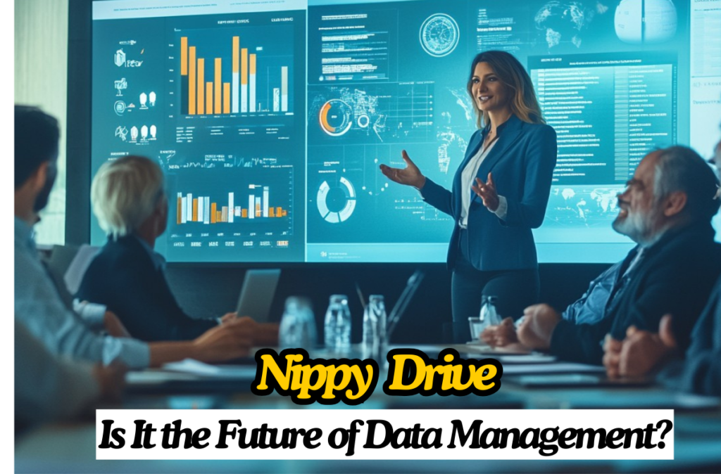 Nippy Drive: Is It the Future of Data Management
