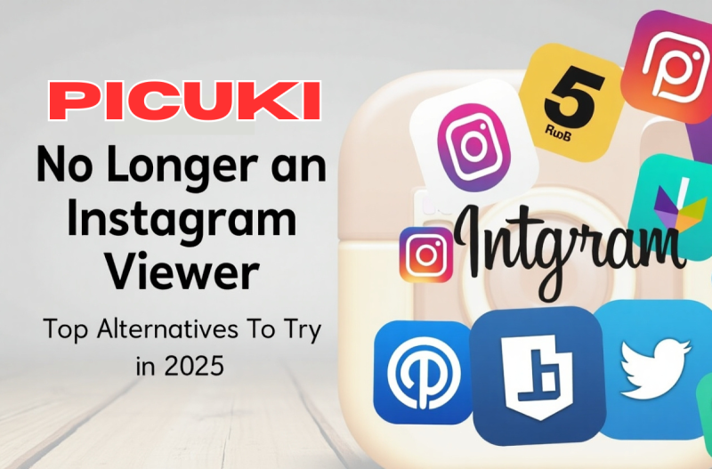 Picuki Is No Longer an Instagram Viewer! Top Alternatives in 2025 ...